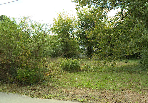 Lot Clearing Services in NJ